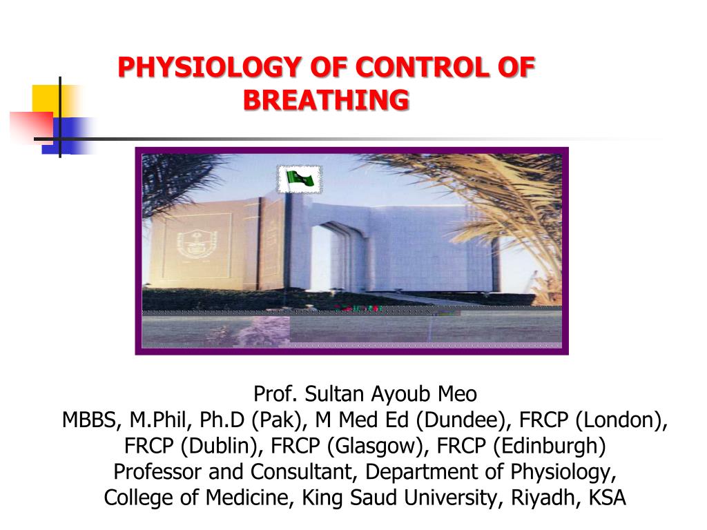 PPT - PHYSIOLOGY OF CONTROL OF BREATHING PowerPoint Presentation, free ...