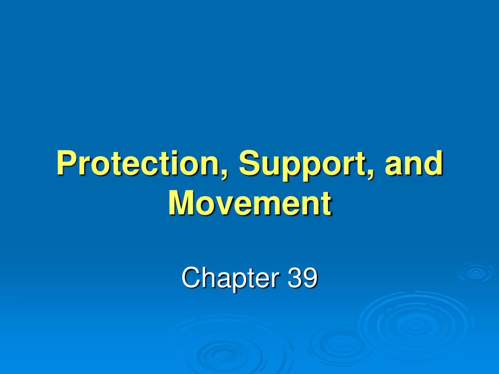 PPT - Protection, Support, and Movement PowerPoint Presentation, free ...