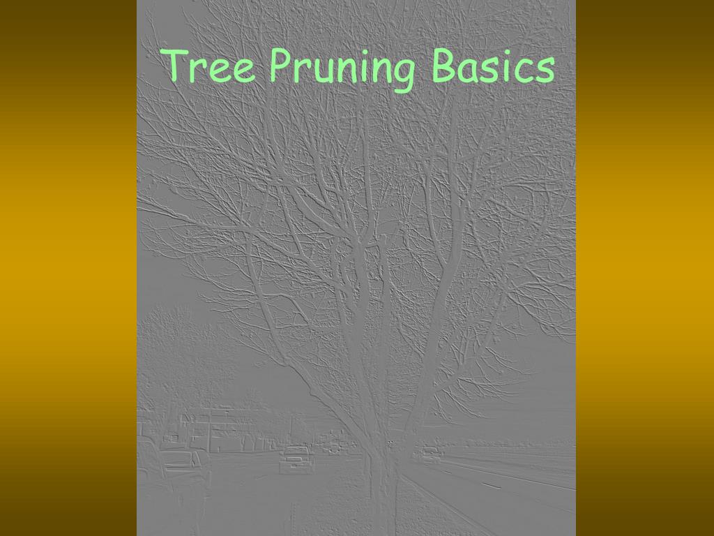PPT - Tree Pruning Basics PowerPoint Presentation, free download - ID ...