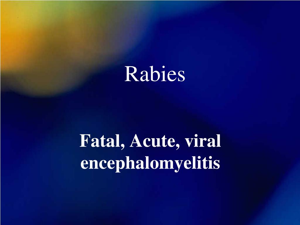 PPT - Rabies PowerPoint Presentation, free download - ID:6564616