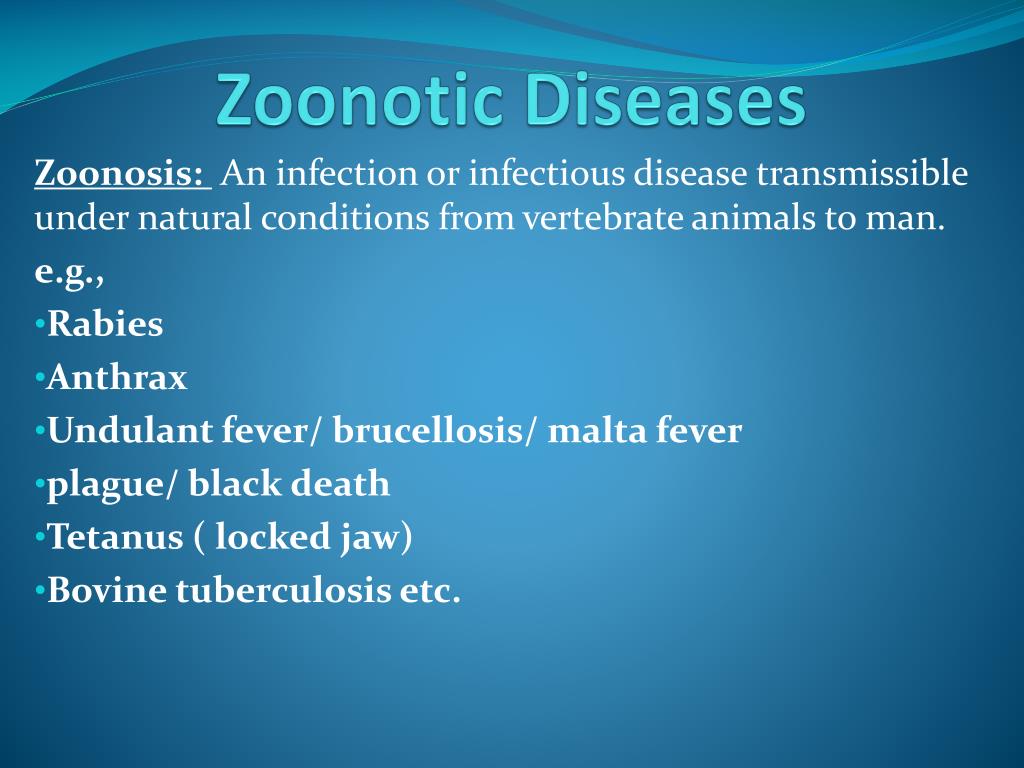 PPT - Zoonotic Diseases PowerPoint Presentation, free download - ID:6565317