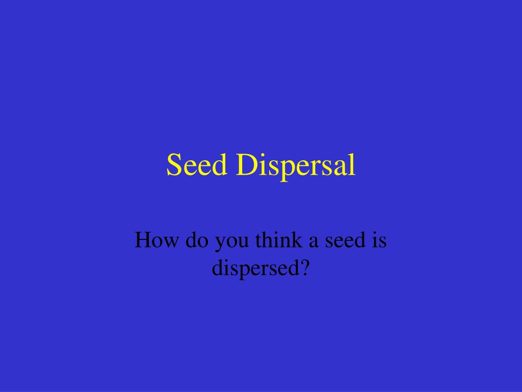 PPT - Seed Dispersal PowerPoint Presentation, free download - ID:6566582