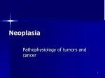 PPT - Neoplasia PowerPoint Presentation, free download - ID:6111587