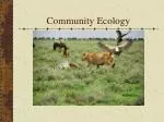 PPT - Community Ecology PowerPoint Presentation, free download - ID:6374998