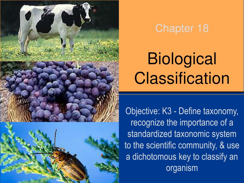 PPT - Biological Classification PowerPoint Presentation, free download ...