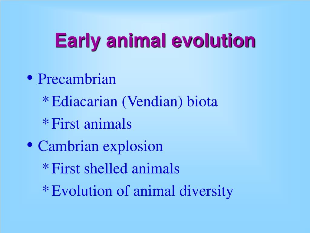 PPT - Early animal evolution PowerPoint Presentation, free download ...