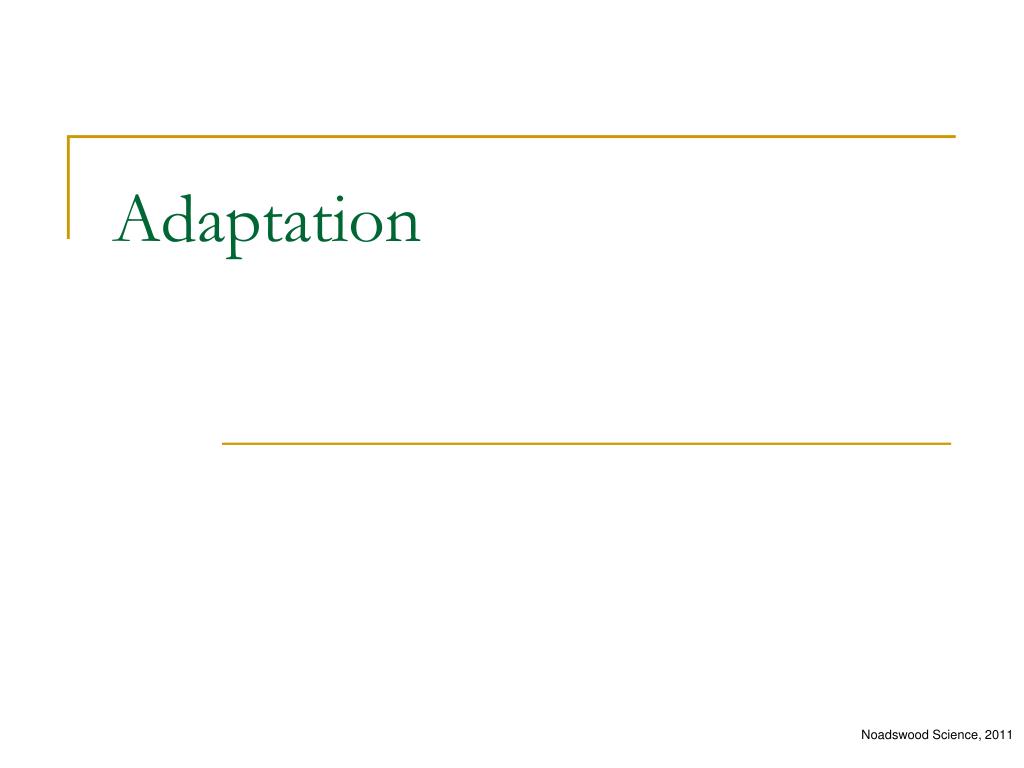PPT - Adaptation PowerPoint Presentation, free download - ID:6574069