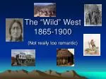 PPT - The Wild West PowerPoint Presentation, free download - ID:5973647