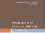 PPT - Basic Elements of Individual Behavior in Organizations PowerPoint ...