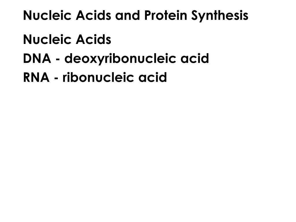 PPT - Nucleic Acids and Protein Synthesis PowerPoint Presentation, free ...