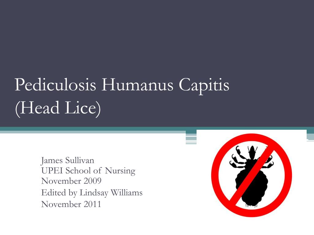 PPT - Pediculosis Humanus Capitis (Head Lice) PowerPoint Presentation ...