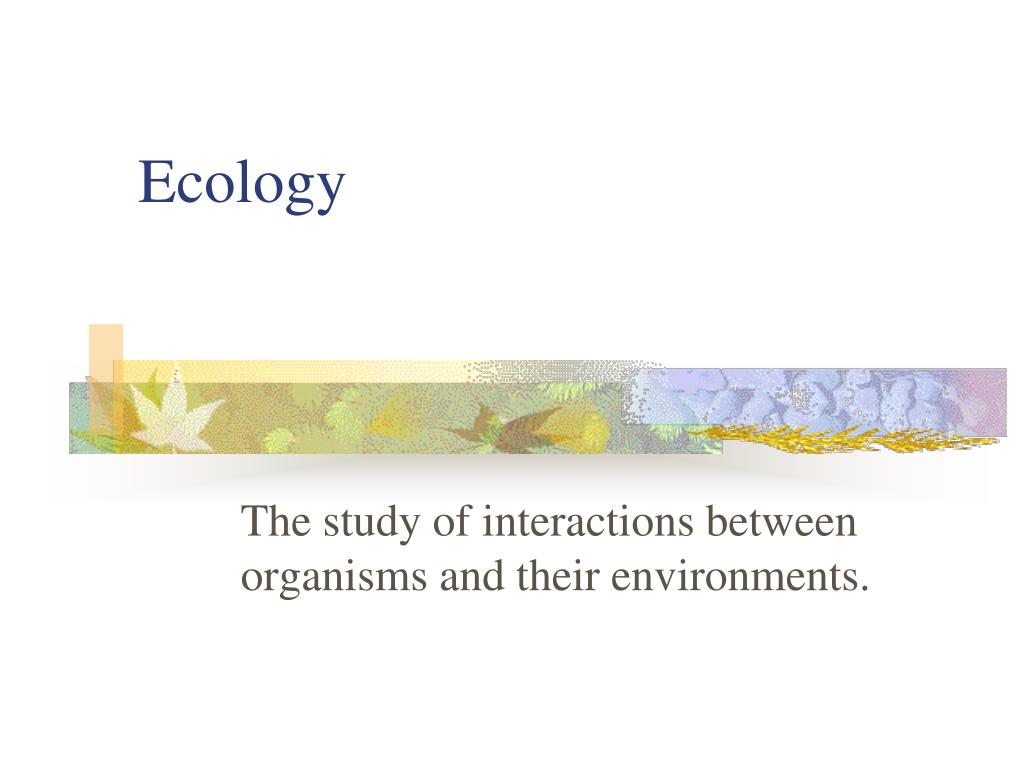 PPT - Ecology PowerPoint Presentation, free download - ID:6585502