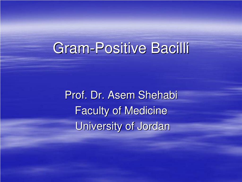 PPT - Gram-Positive Bacilli PowerPoint Presentation, free download - ID ...
