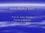 PPT - Non-Fermenting Gram Negative Bacilli PowerPoint Presentation ...