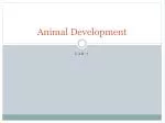 PPT - Animal Development PowerPoint Presentation, free download - ID ...