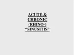 PPT - Management of Acute and Chronic Sinusitis PowerPoint Presentation ...
