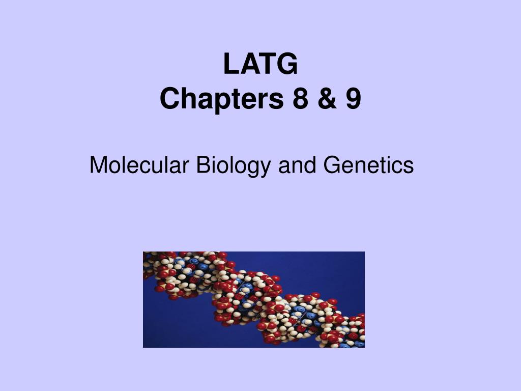 PPT - LATG Chapters 8 & 9 PowerPoint Presentation, free download - ID ...