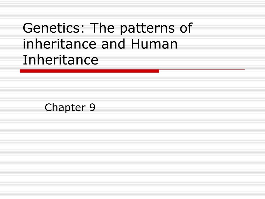 Ppt Genetics The Patterns Of Inheritance And Human Inheritance