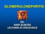 PPT - Pathology of Glomerulonephritis PowerPoint Presentation, free ...