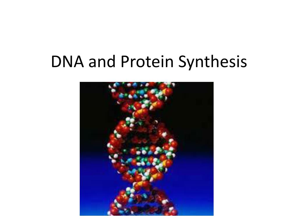 PPT - DNA and Protein Synthesis PowerPoint Presentation, free download ...