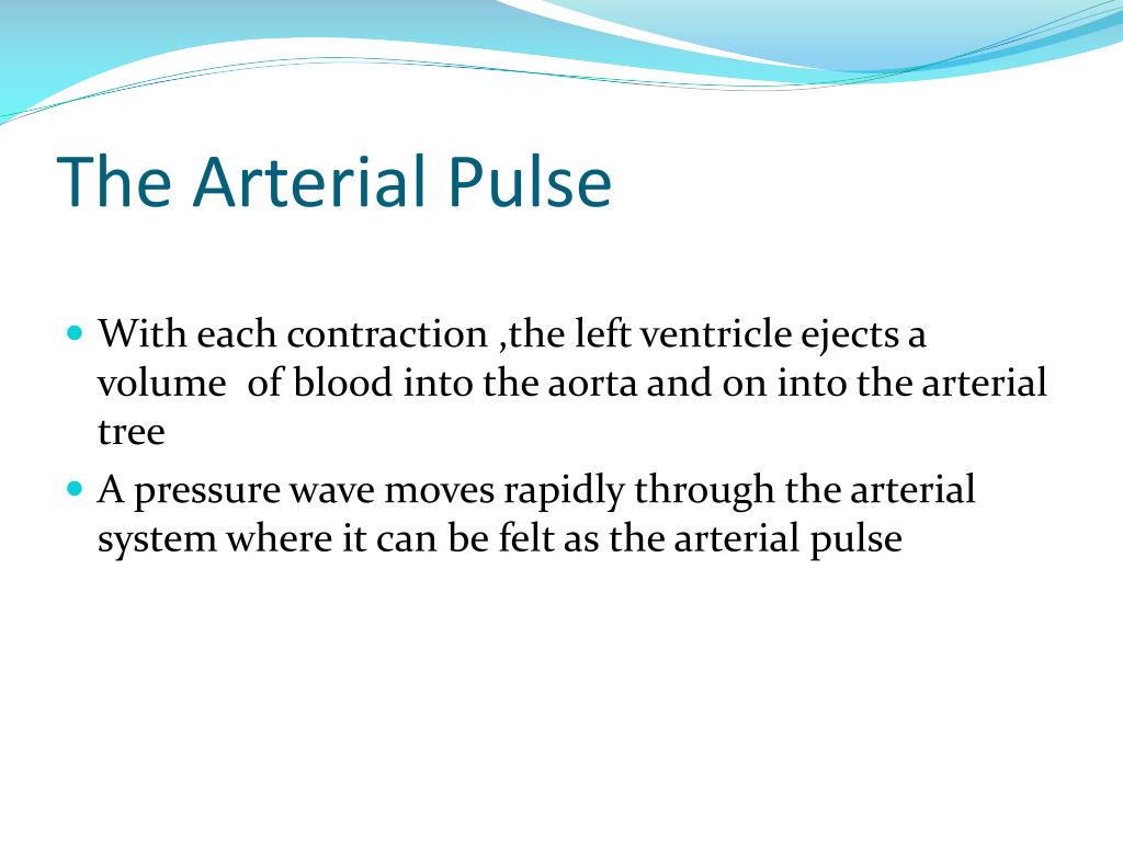 PPT - The Arterial Pulse PowerPoint Presentation, free download - ID ...