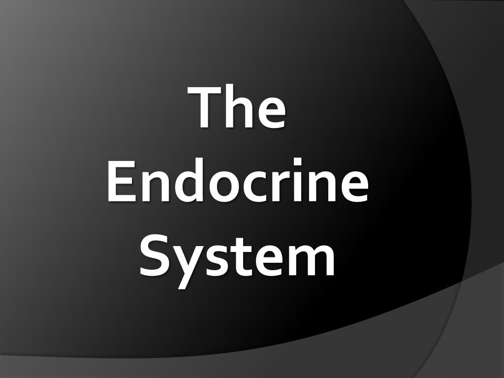 PPT - The Endocrine System PowerPoint Presentation, free download - ID ...