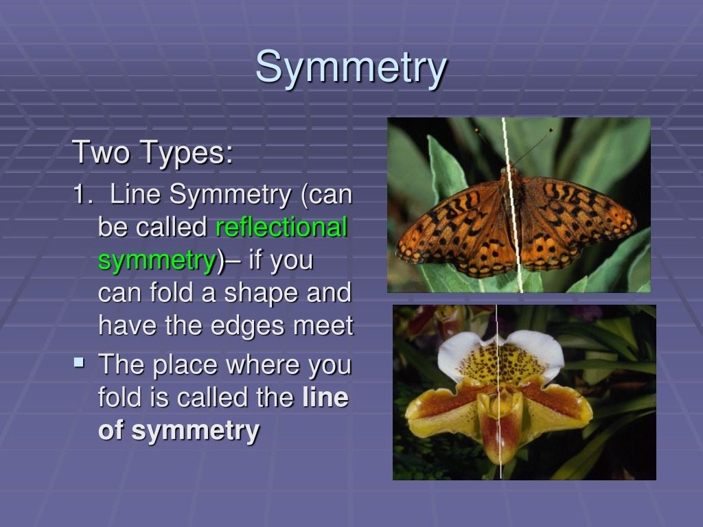 PPT - Symmetry PowerPoint Presentation, free download - ID:6591400