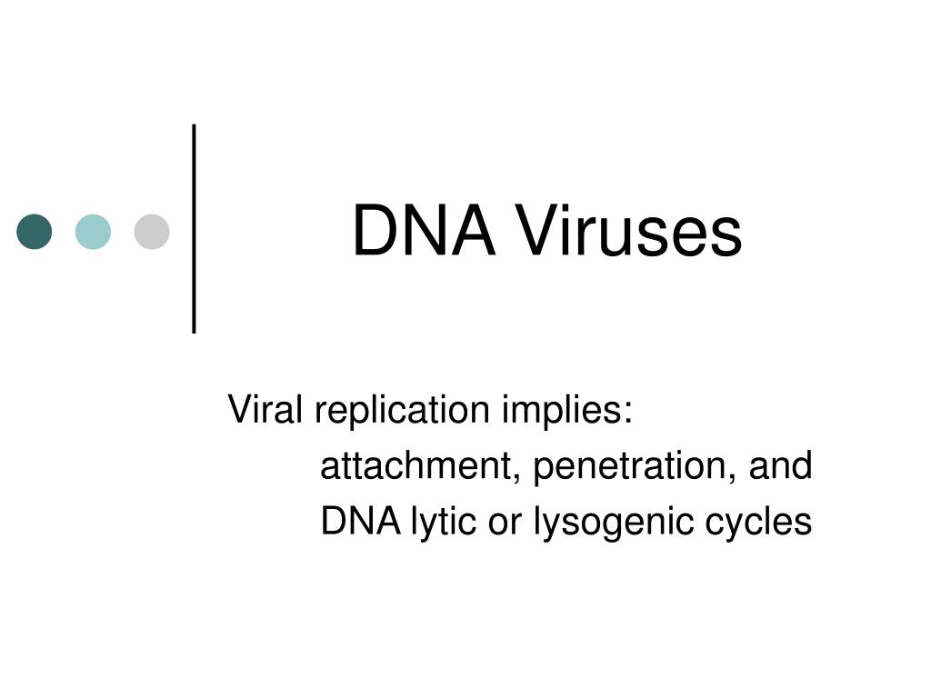 PPT - DNA Viruses PowerPoint Presentation, free download - ID:6592533