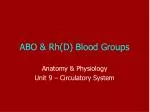 PPT - ABO and H Blood Groups PowerPoint Presentation, free download - ID:6679262