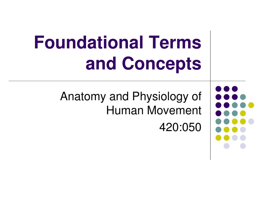 PPT - Foundational Terms and Concepts PowerPoint Presentation, free ...