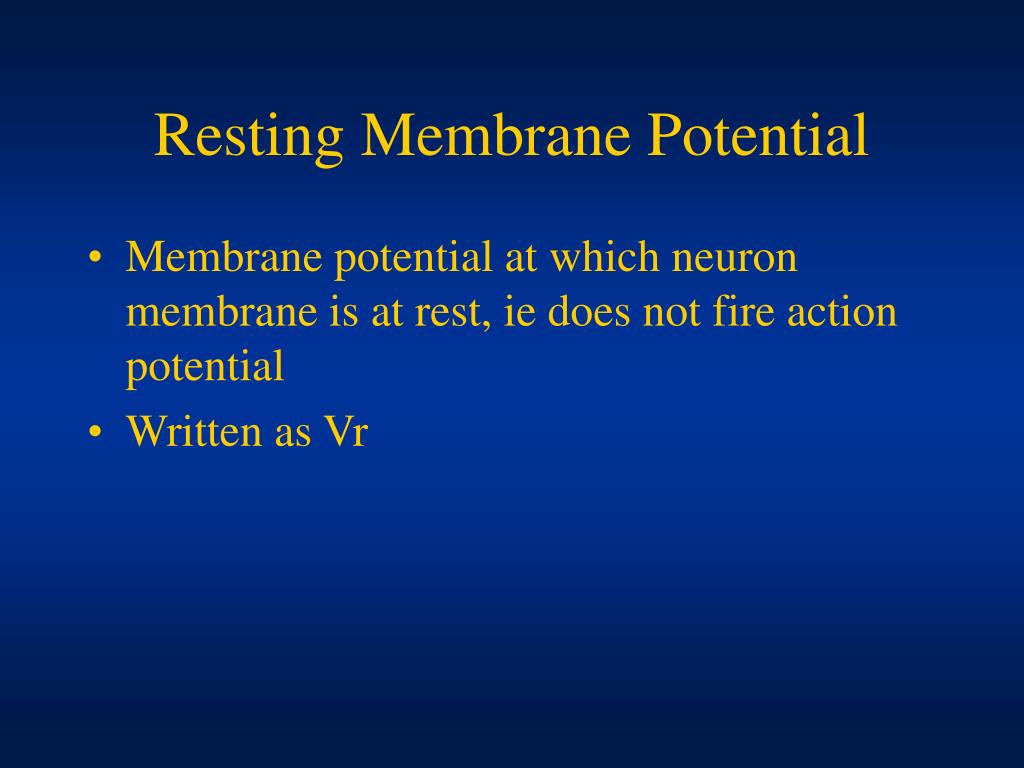 PPT - Resting Membrane Potential PowerPoint Presentation, free download ...