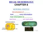 PPT - Microbiology Unknown Lab BIO 187 PowerPoint Presentation, free ...