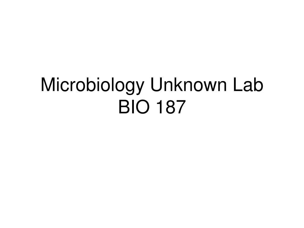 PPT - Microbiology Unknown Lab BIO 187 PowerPoint Presentation, free ...