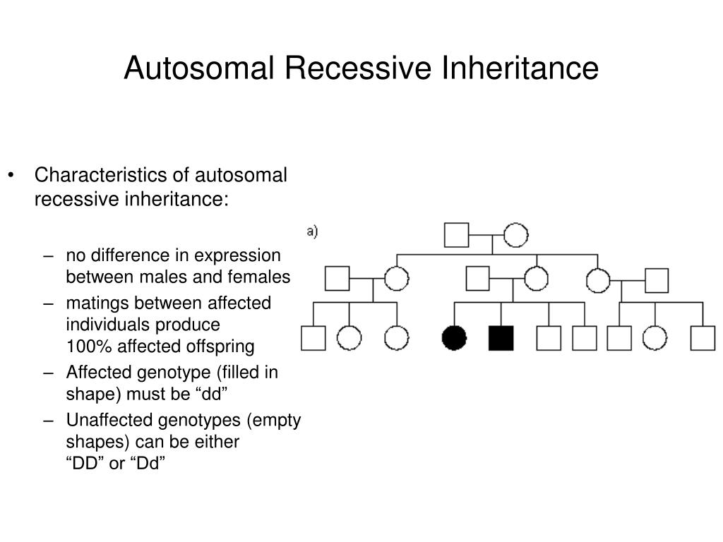 PPT - Autosomal Recessive Inheritance PowerPoint Presentation, free ...