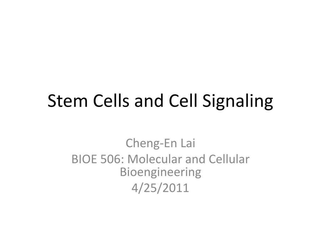 PPT - Stem Cells and Cell Signaling PowerPoint Presentation, free ...