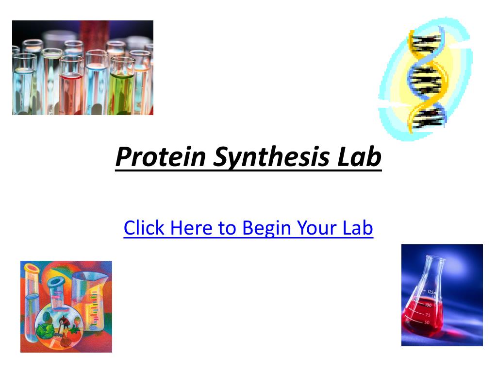 PPT - Interactive Protein Synthesis Lab - Start Your Cellular ...