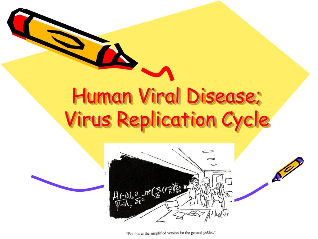 PPT - Human Viral Disease; Virus Replication Cycle PowerPoint ...