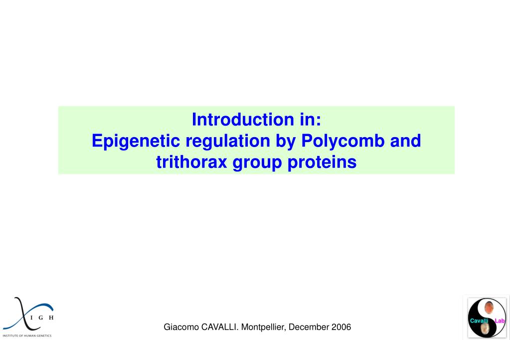 PPT - Introduction in: Epigenetic regulation by Polycomb and trithorax ...