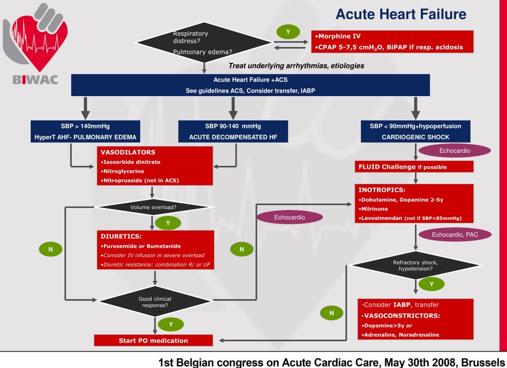 PPT - Acute Heart Failure PowerPoint Presentation, free download - ID ...