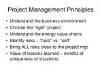 PPT - Project Management Principles PowerPoint Presentation, free ...