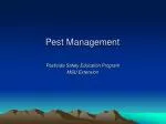 PPT - PEST MANAGEMENT PowerPoint Presentation, free download - ID:5414397