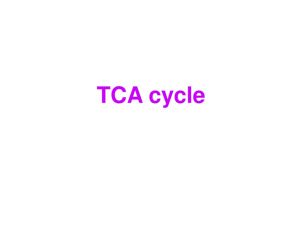 PPT - Understanding the Citric Acid Cycle: Fates of Acetyl CoA and ...