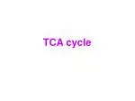 PPT - tca cycle PowerPoint Presentation, free download - ID:164532