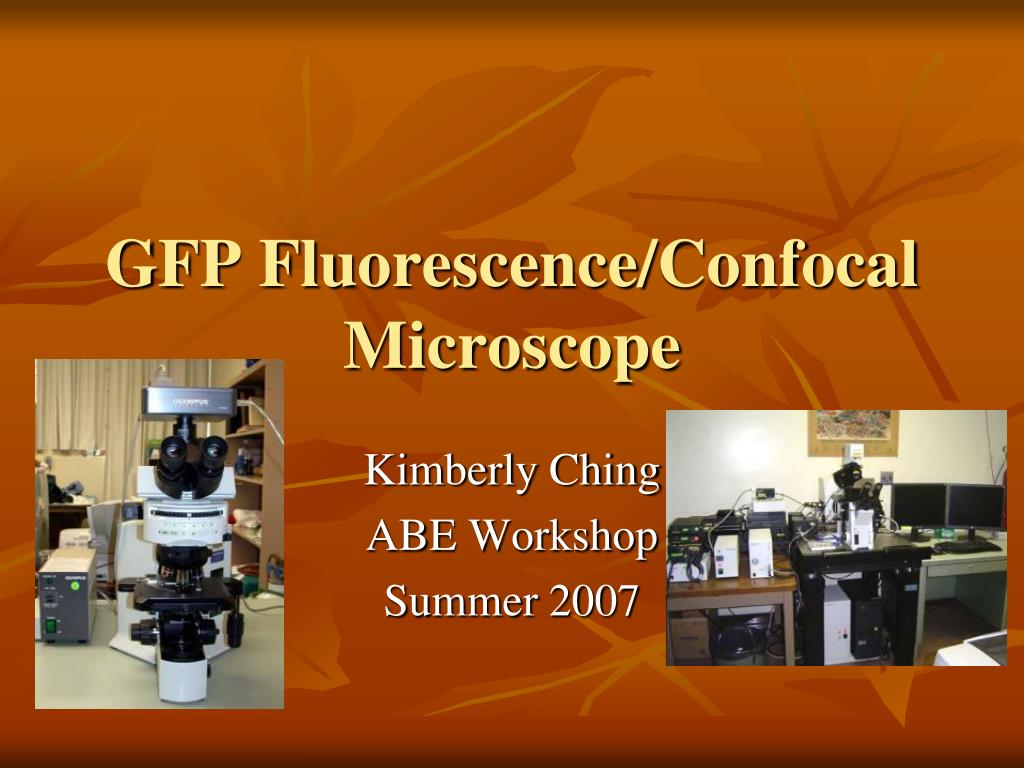PPT - GFP Fluorescence/ Confocal Microscope PowerPoint Presentation ...
