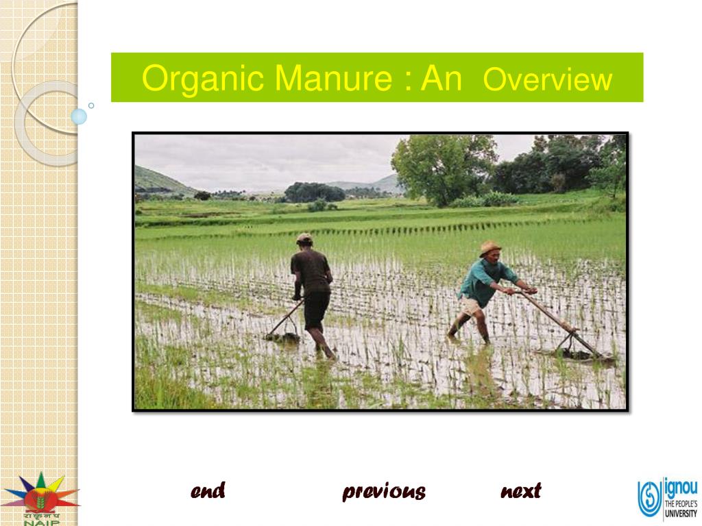 PPT - Organic Manure : An Overview PowerPoint Presentation, free ...