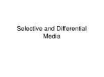 PPT - SELECTIVE, DIFFERENTIAL AND ENRICHED MEDIA PowerPoint ...