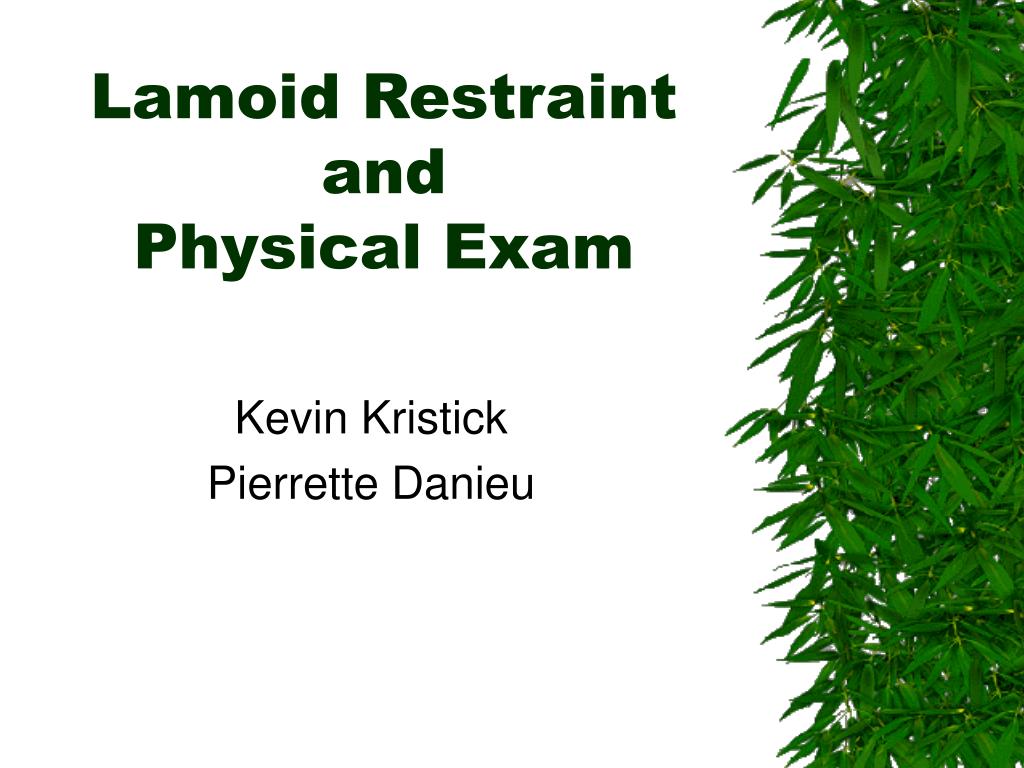 PPT - Lamoid Restraint and Physical Exam PowerPoint Presentation, free ...