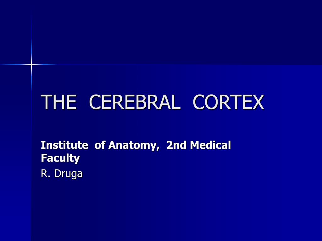PPT - THE CEREBRAL CORTEX PowerPoint Presentation, free download - ID ...