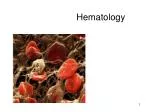PPT - Hematology PowerPoint Presentation, free download - ID:3074089