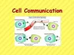 PPT - Cell Communication PowerPoint Presentation, free download - ID ...
